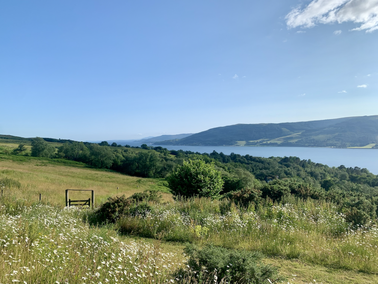 Cove Park